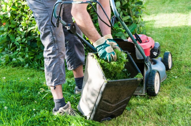 Is there a difference between lawn care services and lawn maintenance ...